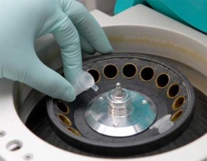 We’re Gonna Live Forever: DARPA’s Unkillable Creature | Gadgets ...