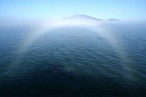 Foggy Details: Stunning Beauty of Fogbows and Cloudbows | Gadgets ...