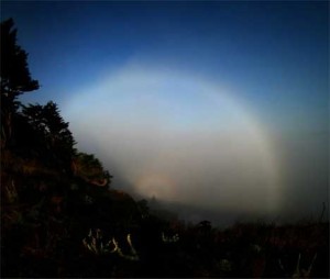 Foggy Details: Stunning Beauty of Fogbows and Cloudbows | Gadgets ...
